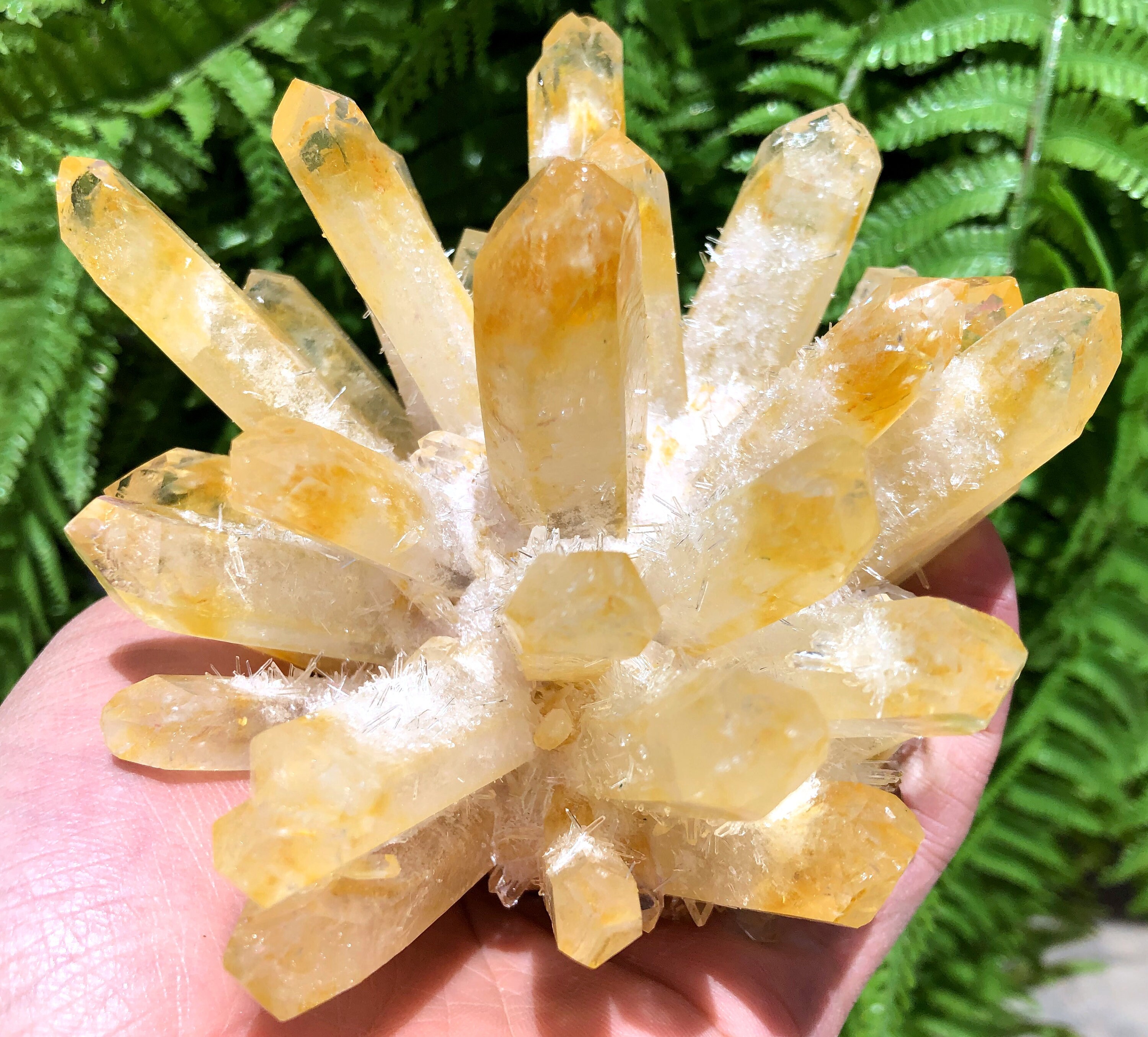 Yellow Cactus Quartz Cluster/Stunning Clear Points with | Etsy