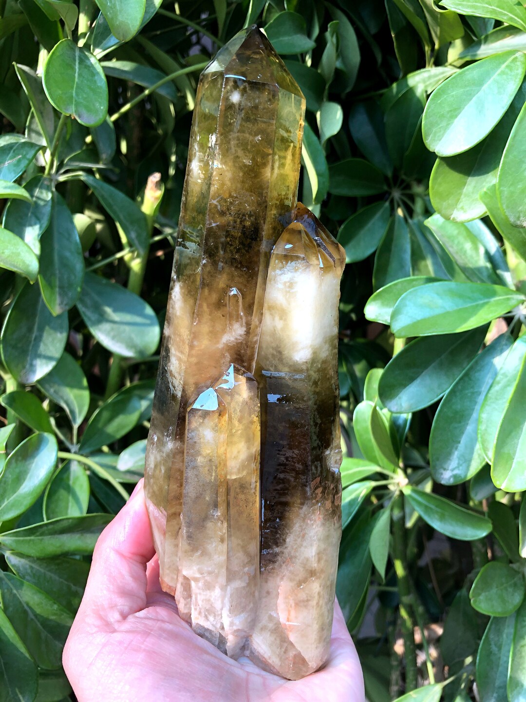 Top Raw Smoky Crystal+yellow Crystal Cluster/black Quartz Cluster ...