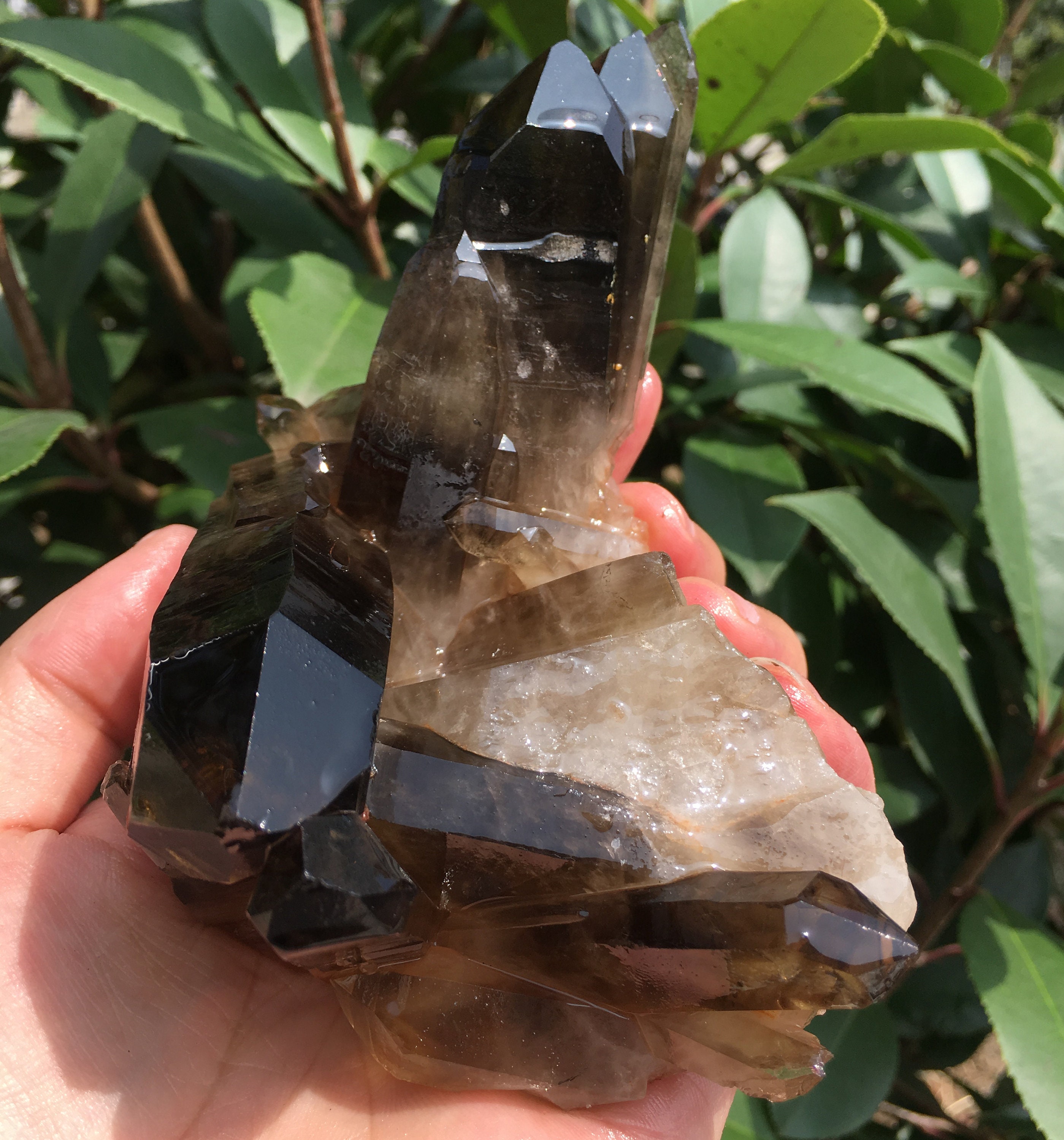 Top Large Raw Black Crystal Cluster/black Quartz | Etsy