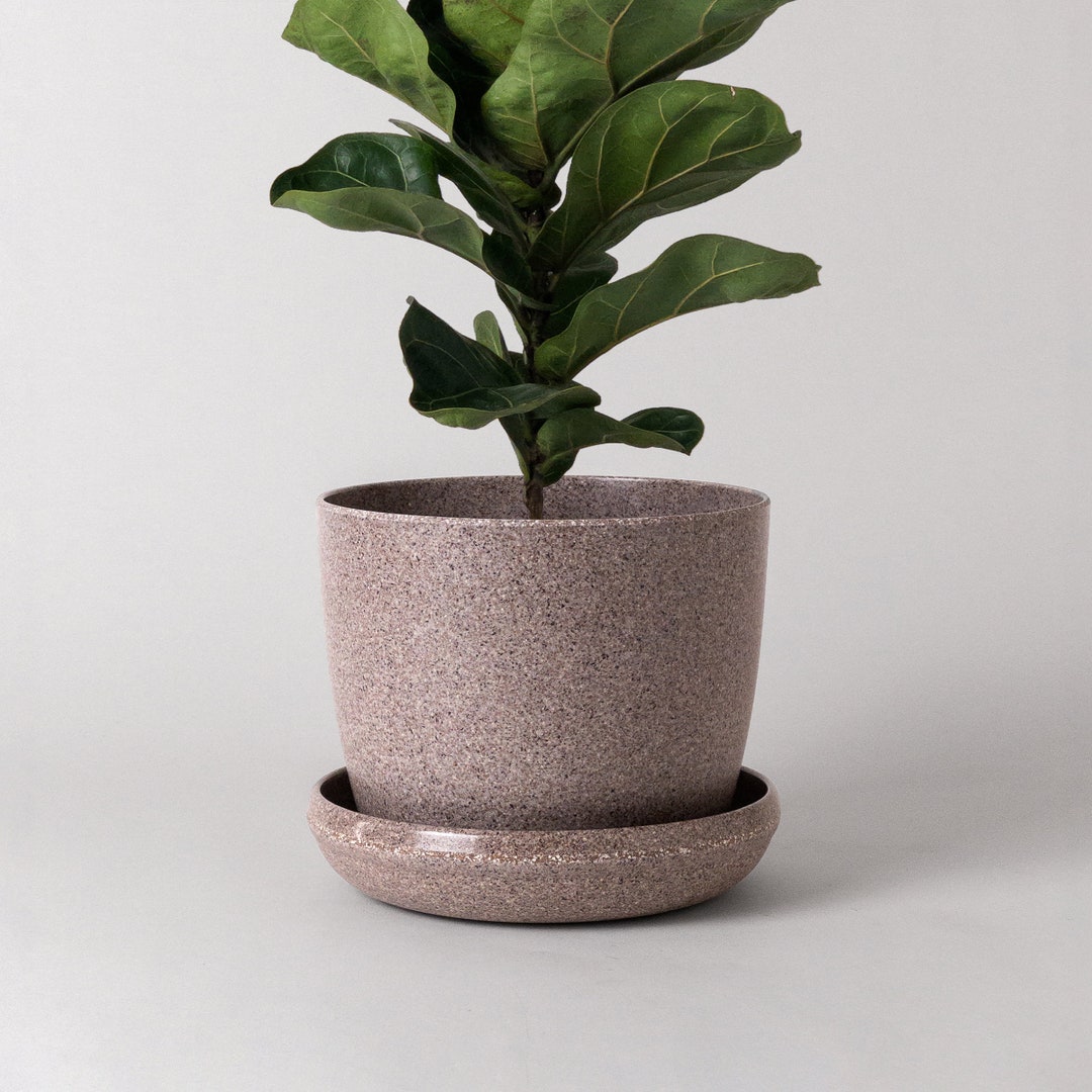 7" Nut Husk Plant Pot With Saucer | Modern Indoor Planter - Etsy