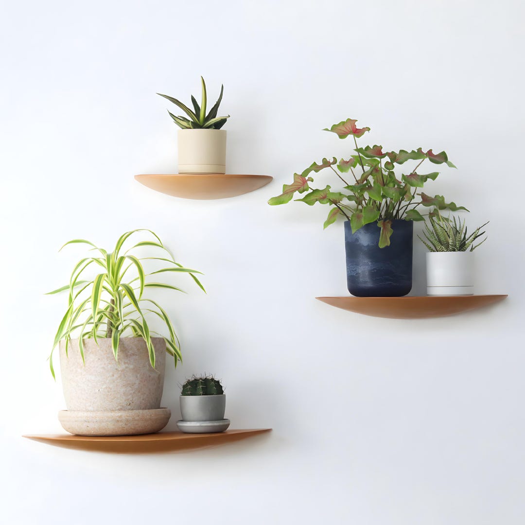 Wooden Plant Shelf | Wall Mounted Plant Shelf | Floating Plant Shelf ...