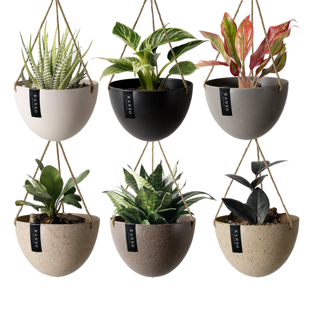 8" Hanging Planter Pot With Drainage Hole & Plug | Hanging Wall Planter ...