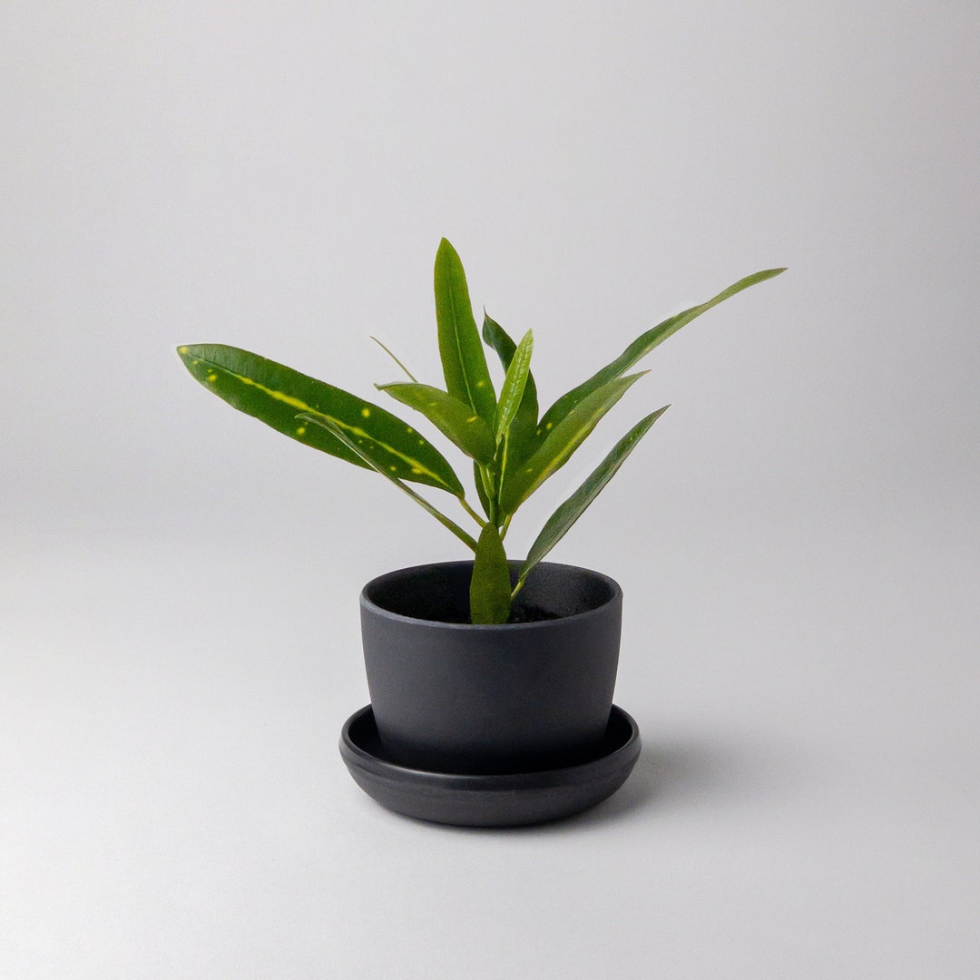 Black Mini Planter Pot Matte | Indoor Succulent Nursery Planter Pot ...