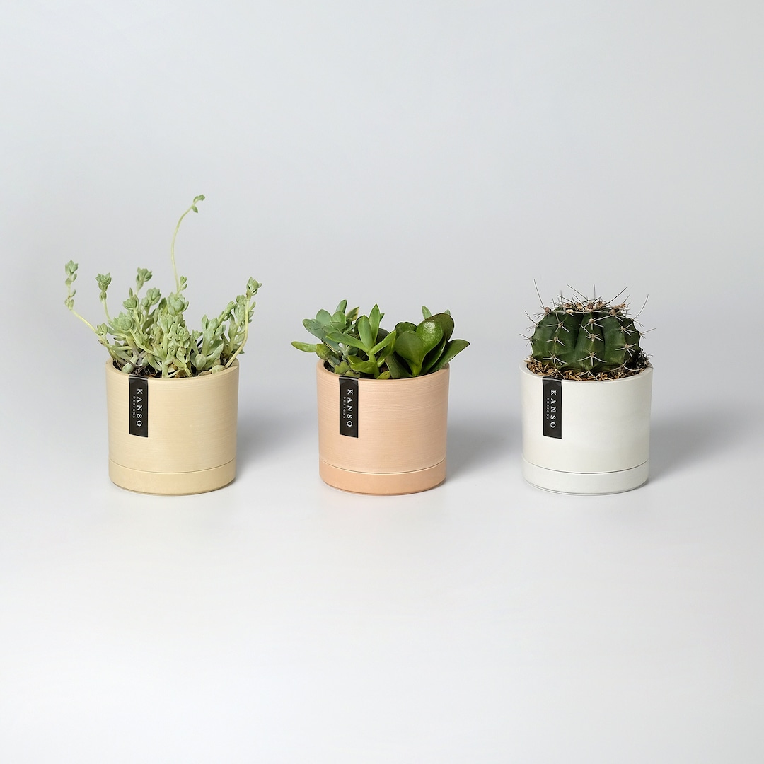 3" Mini Planters | Set of 3 Planters With Drainage Hole & Saucers ...