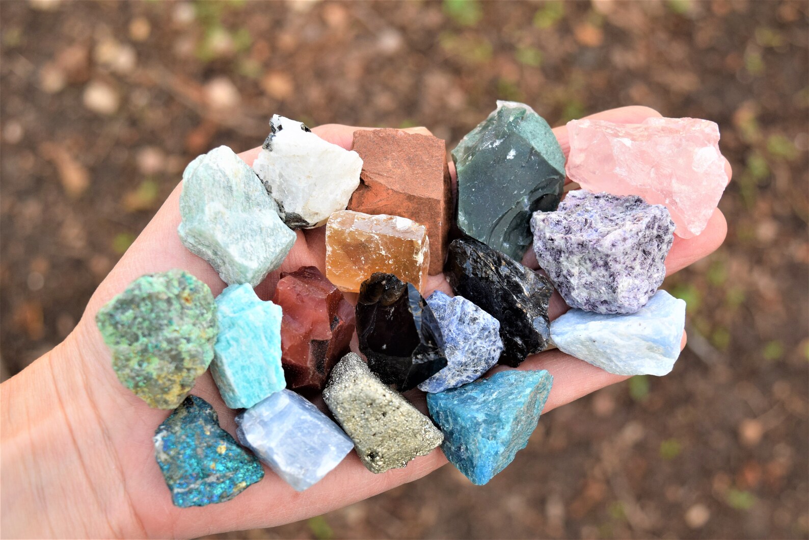 18 Rough raw Stones With Geological Information Cards in | Etsy