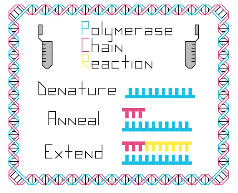 The Steps of PCR - Cross Stitch Pattern - Instant Download PDF - Etsy