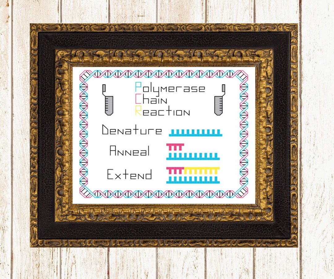 The Steps of PCR - Cross Stitch Pattern - Instant Download PDF - Etsy