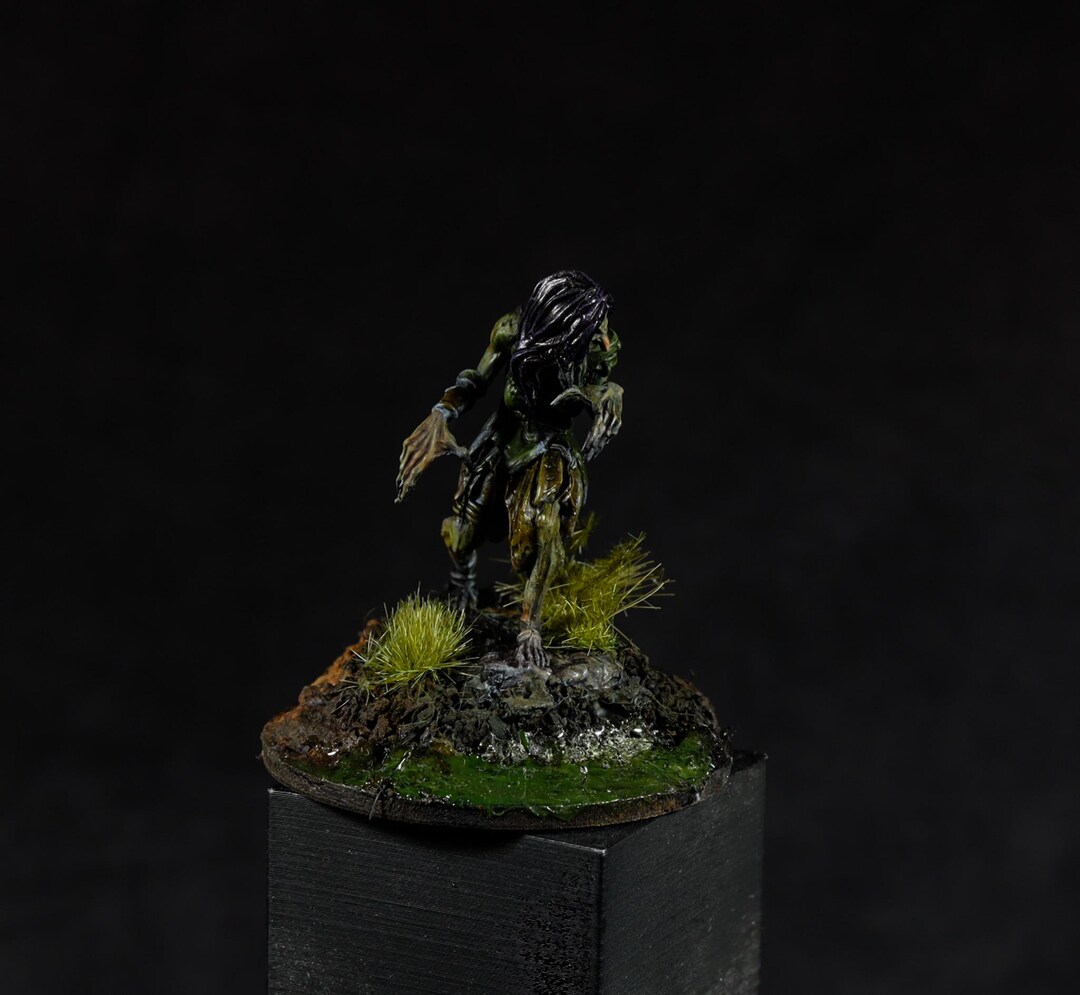 Swamp Hag Dnd Miniature Painted Mini for Dungeons and Dragons Hand ...