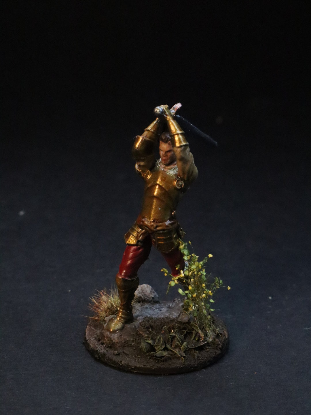 D&D Human Paladin, Fighter Dnd Miniature Painted Mini for Dungeons and ...