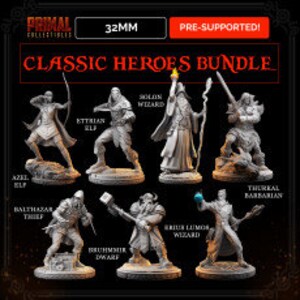 D&D Hero Bundle I Playable Characters I Dnd Painted Heroes I Primal Collectibles I Dungeons and ...