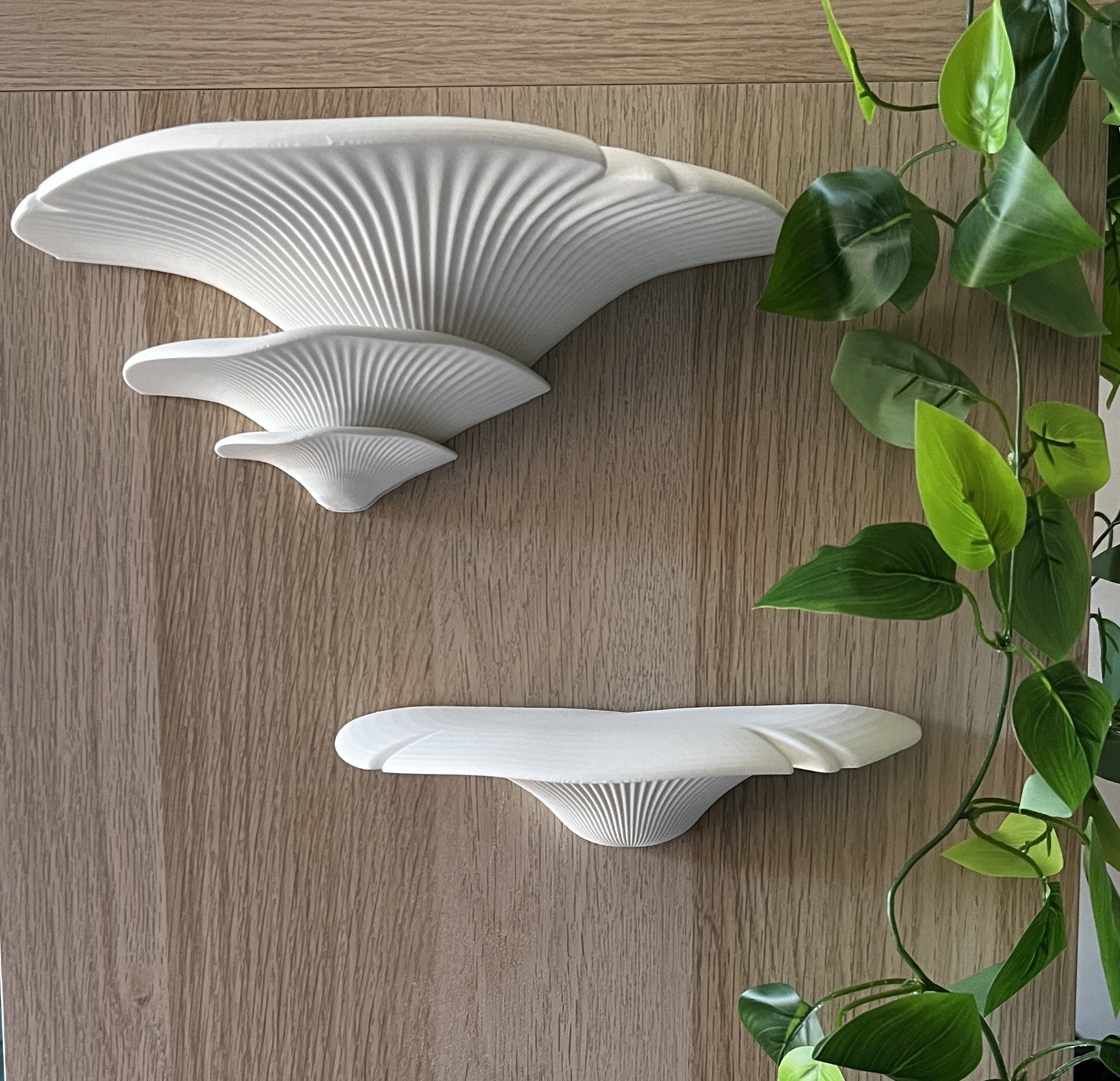 Enchanting Mushroom Shelves Floating Shelves, Cottage Core Fairy Home ...