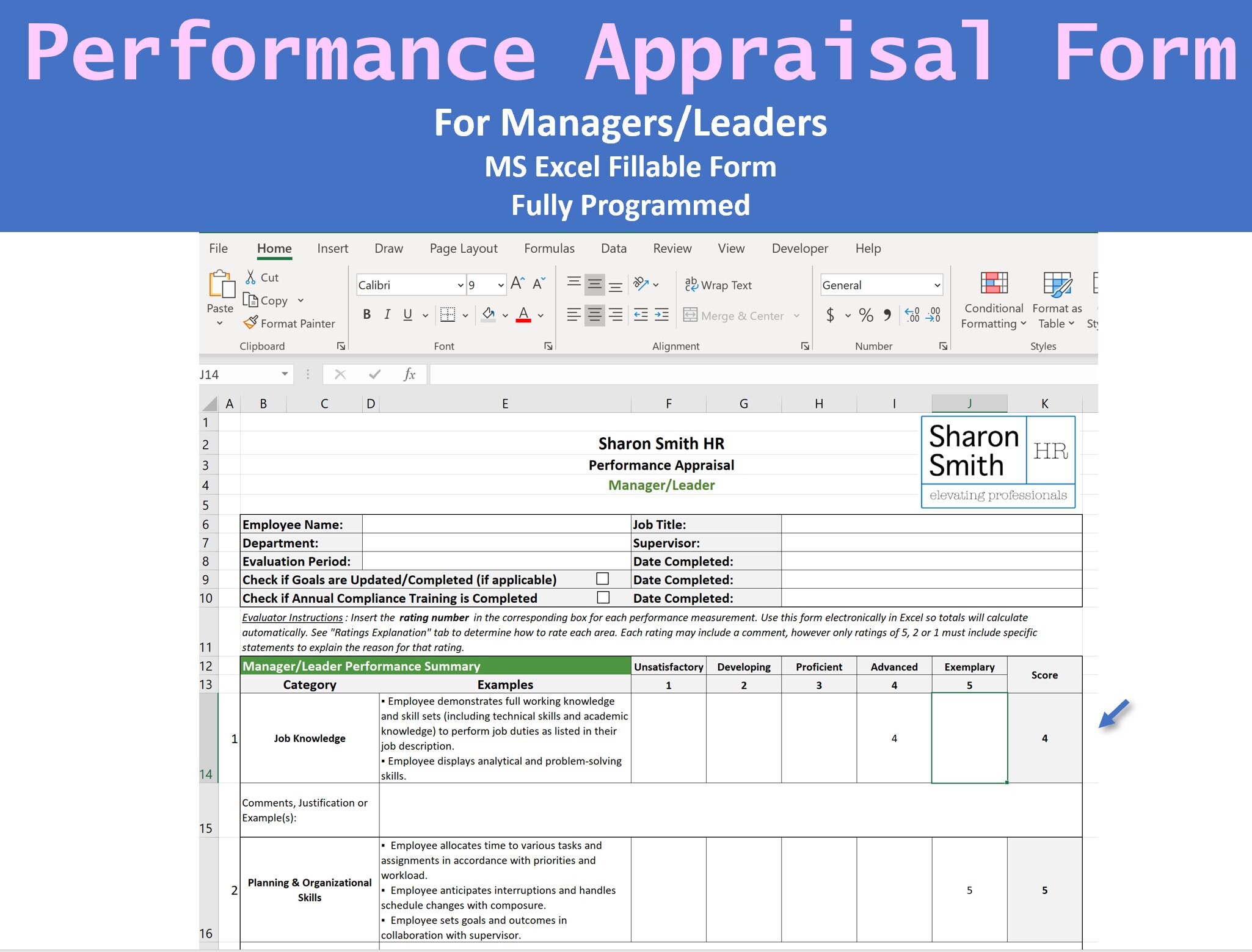 Performance Appraisal Form (manager/leader) - MS Excel Form Template - Etsy