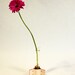 Test Tube Vase - Etsy