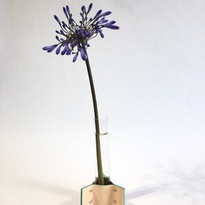 Test Tube Vase - Etsy