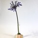 Test Tube Vase - Etsy