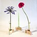 Test Tube Vase - Etsy