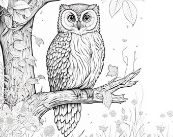 6 Beautiful Birds Printable Coloring Pages, Coloring Sheets for Adults ...