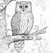 10 Beautiful Birds Printable Coloring Pages, Coloring Sheets for Adults ...