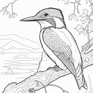 10 Beautiful Birds Printable Coloring Pages, Coloring Sheets for Adults ...