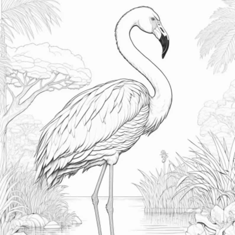 10 Beautiful Birds Printable Coloring Pages, Coloring Sheets for Adults ...
