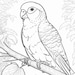 10 Beautiful Birds Printable Coloring Pages, Coloring Sheets for Adults ...