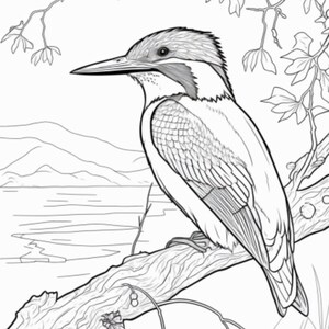 6 Beautiful Birds Printable Coloring Pages, Coloring Sheets for Adults ...