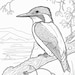 6 Beautiful Birds Printable Coloring Pages, Coloring Sheets for Adults ...