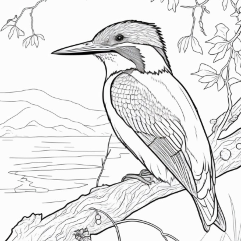 6 Beautiful Birds Printable Coloring Pages, Coloring Sheets for Adults ...