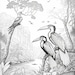 10 Beautiful Birds Printable Coloring Pages, Coloring Sheets for Adults ...