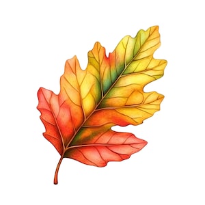 70 Colorful Autumn Leaves Clipart Bundle, High Quality 300 DPI ...