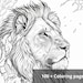 100 + High Quality Coloring Pages, Beautiful Printable Coloring Sheets ...