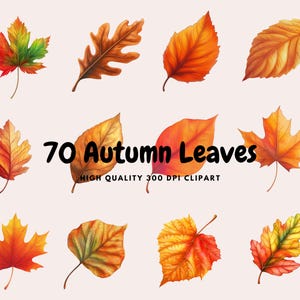 70 Colorful Autumn Leaves Clipart Bundle, High Quality 300 DPI ...