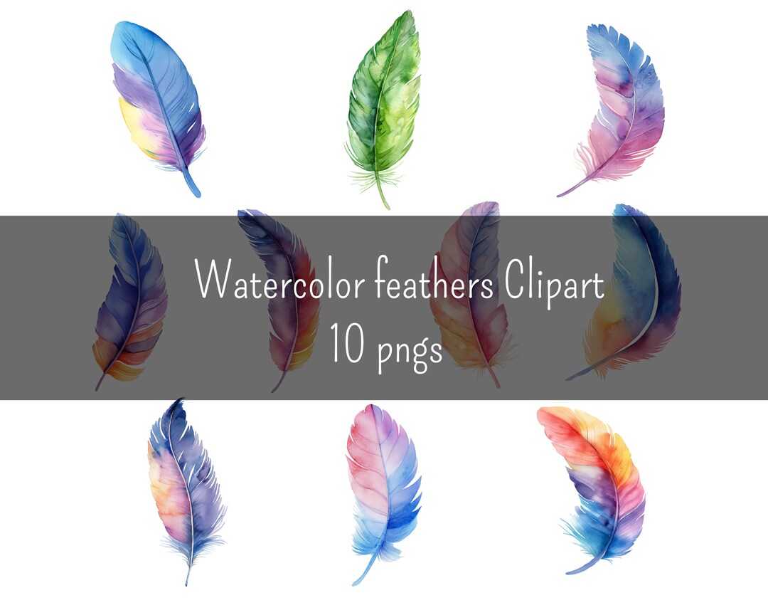 10 Colorful Watercolor Feathers Clipart, High Quality 300 DPI Images ...