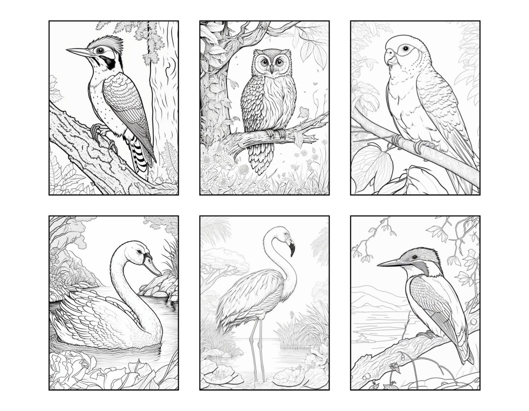 6 Beautiful Birds Printable Coloring Pages, Coloring Sheets for Adults ...