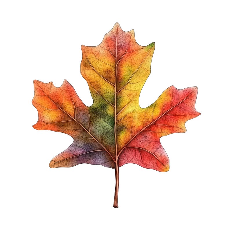 70 Colorful Autumn Leaves Clipart Bundle, High Quality 300 DPI ...