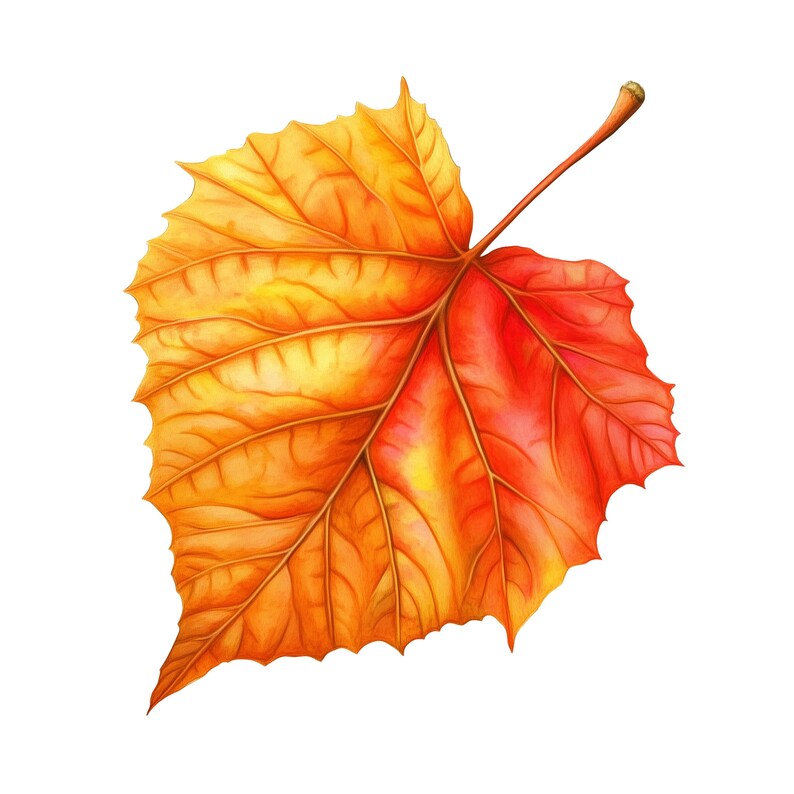 70 Colorful Autumn Leaves Clipart Bundle, High Quality 300 DPI ...