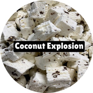Freeze Dried Coconut Explosion Ice Cream Pieces - Etsy