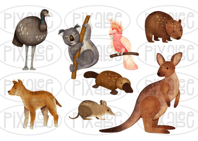 Animals of Australia Clip Art Set Digital Download - Etsy Australia