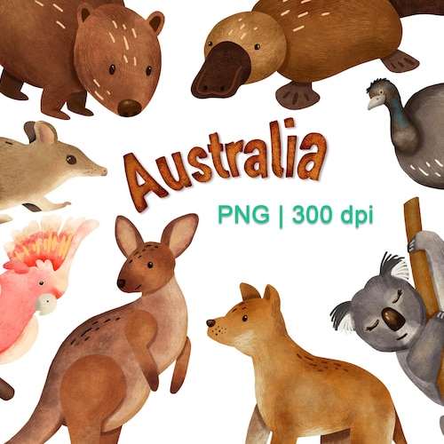 Australian Animals Clipart Koala Kangaroo Wombat Echidna - Etsy Australia
