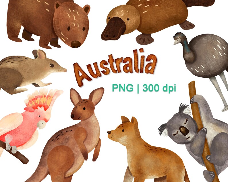 Animals of Australia Clip Art Set Digital Download Wombat, Kangaroo ...