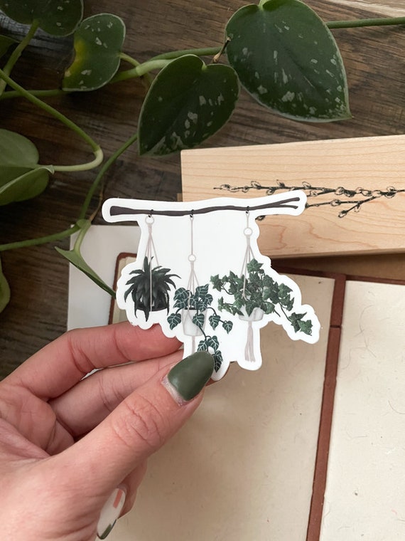 The Plant Hanger Sticker Plants Hanger Vinyl Sticker | Etsy