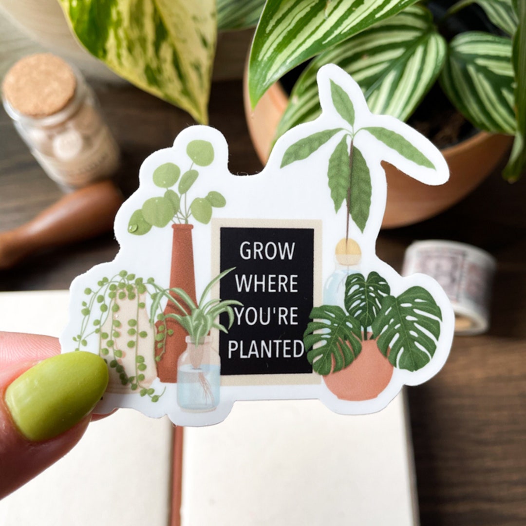 Grow Where You're Planted Sticker Plant Sticker Labels for Car,water ...