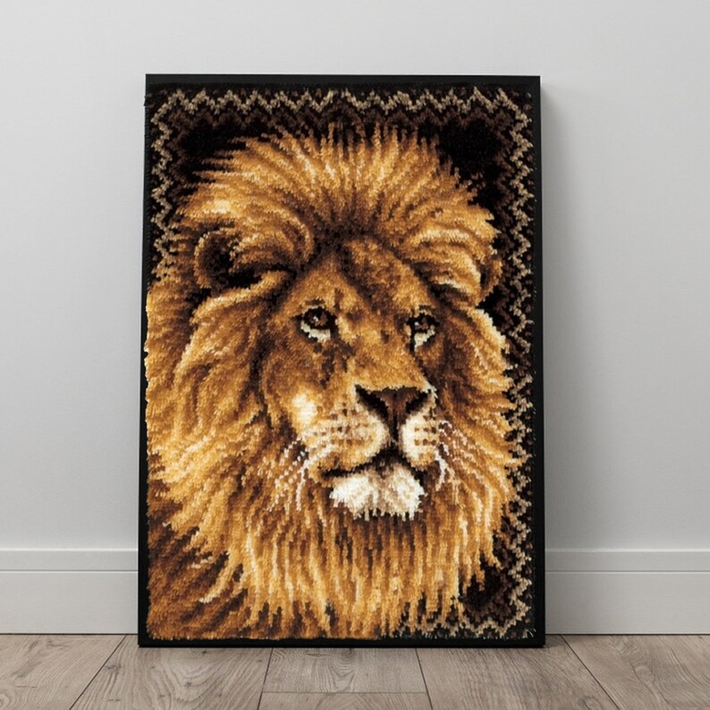 Latch Hook Rug Kits, Kids Adults Carpet Embroidery Set Beginners DIY ...