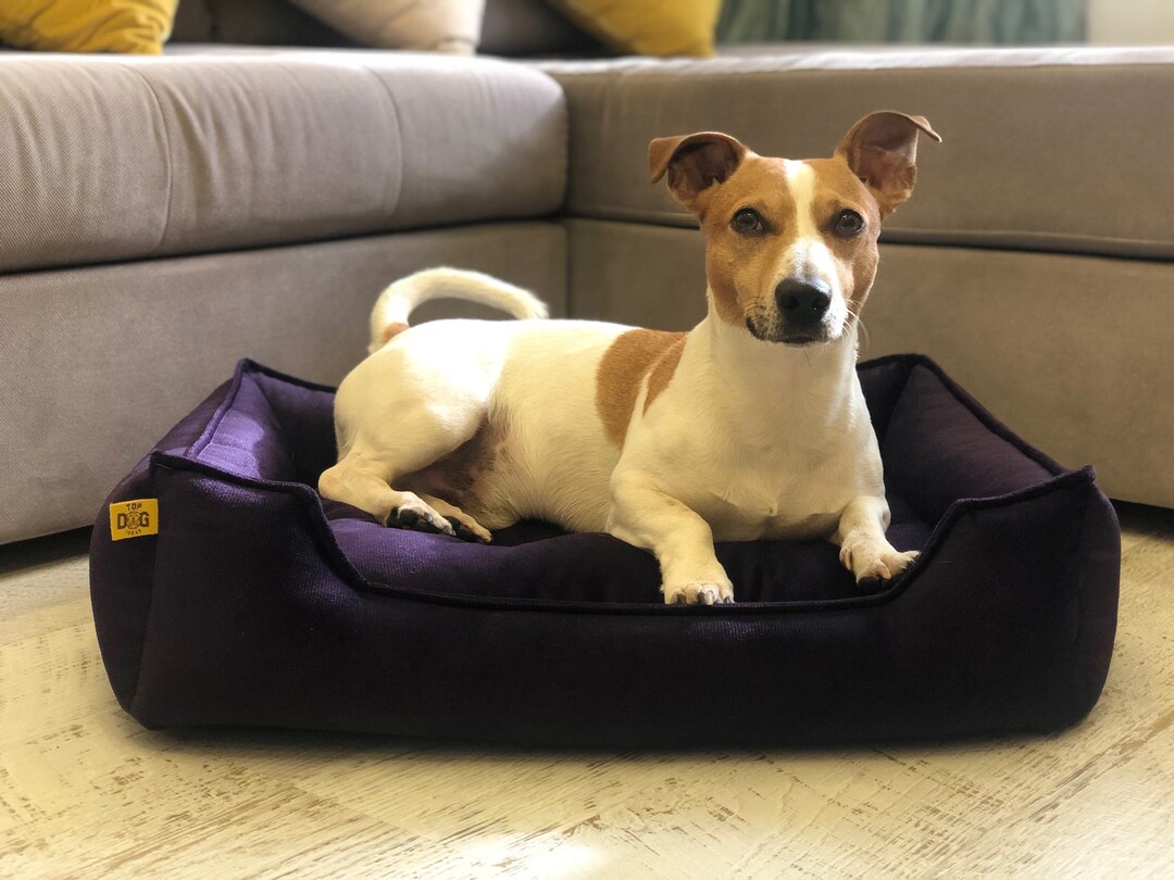 Purple Bed for Mini Dog, Dusty Pink Velvet Mattress for Dog, Puppy ...