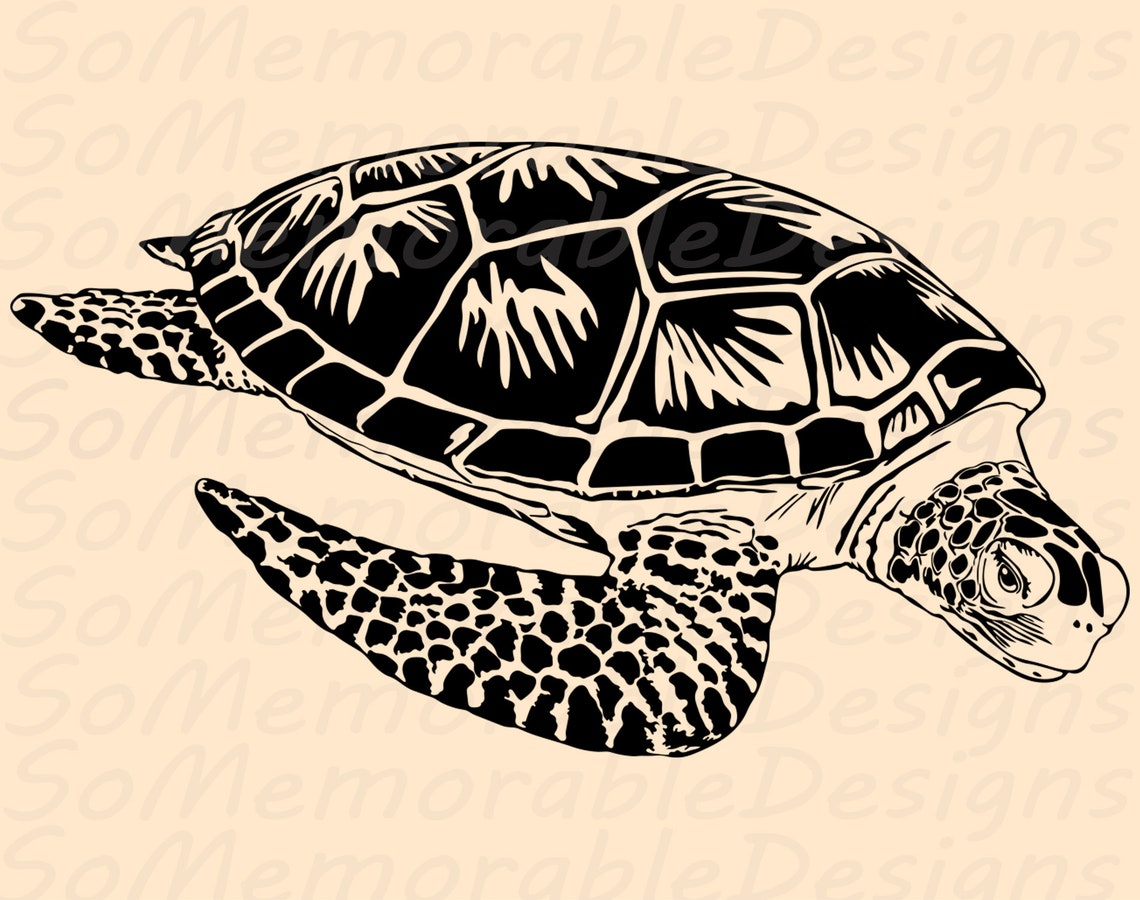 Turtle Svg Turtle Svg Files Turtle Svg Design Turtle Cut - Etsy