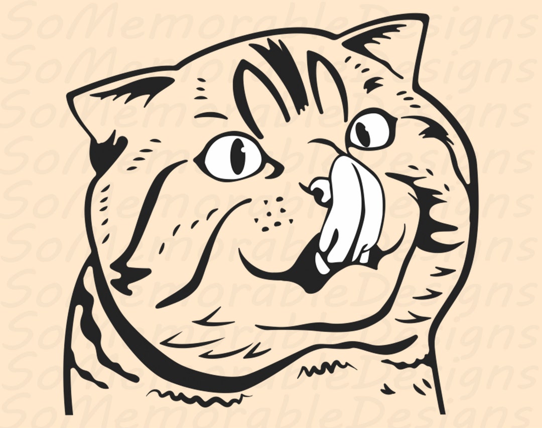 Cat Svg Files for Cricut, Cat Svg Designs - Etsy