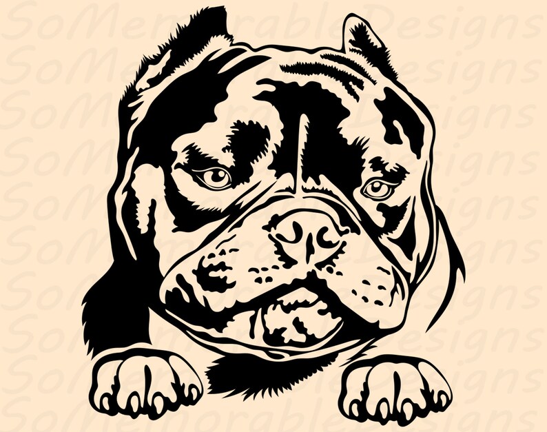 American Bully Svg American Bully Svg File for Cricut - Etsy