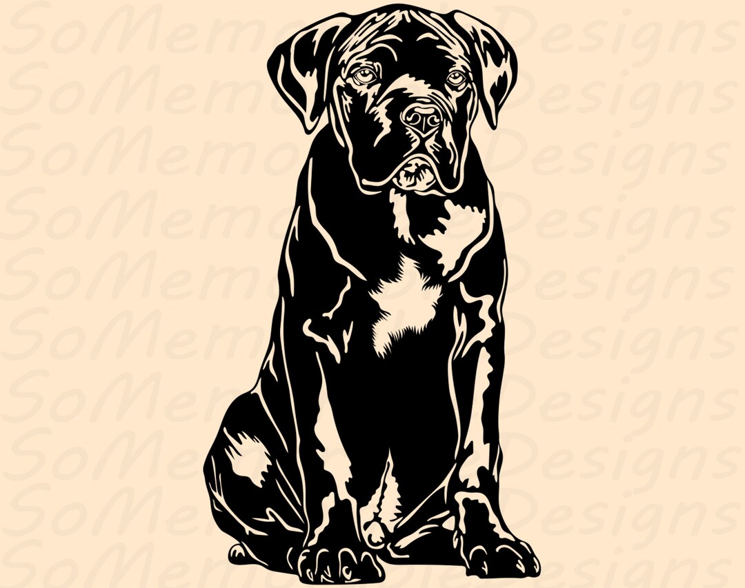 Cane Corso svg, Cane Corso svg file for cricut, Cane Corso diseño de ...