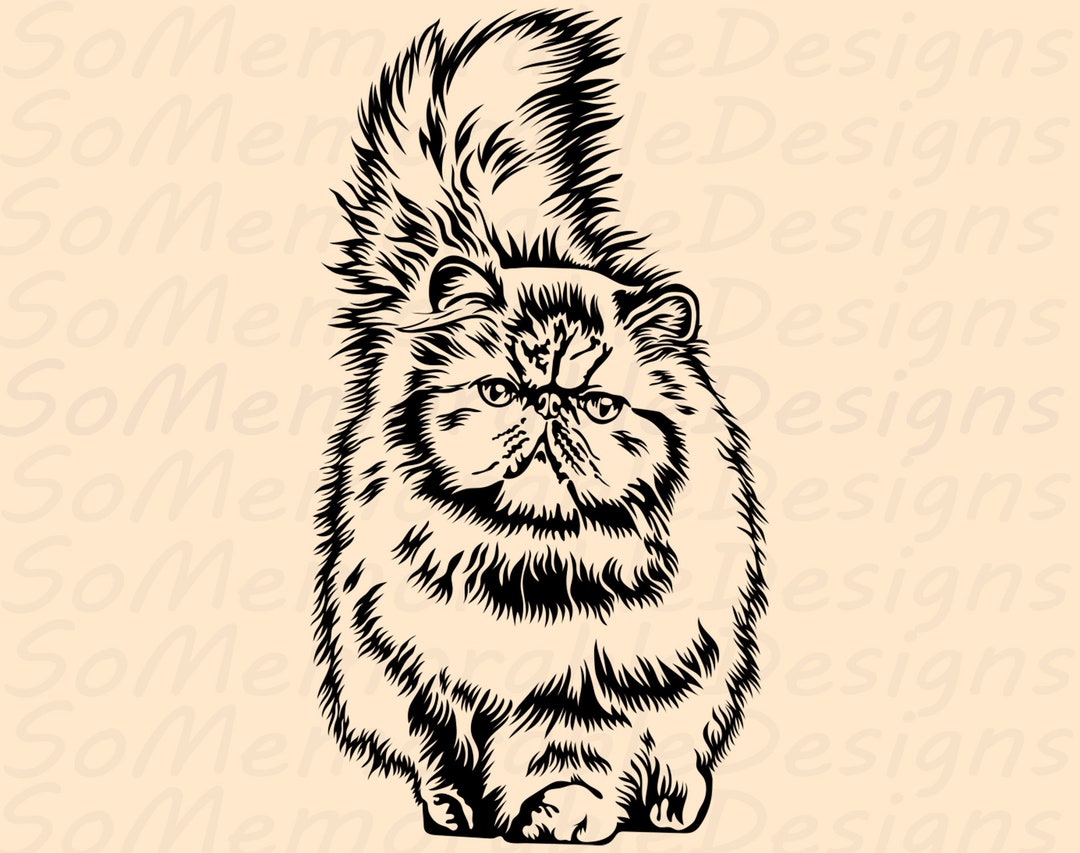Persian Cat Svg Files for Cricut, Persian Cat Svg Designs - Etsy