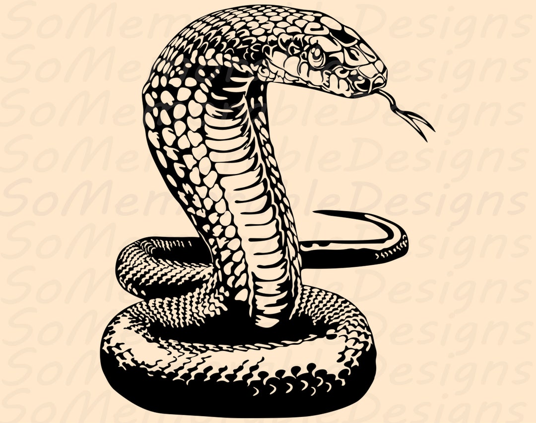 Snake Svg, Snake Svg Files, Snake Svg Design, Snake Cut File, Snake ...